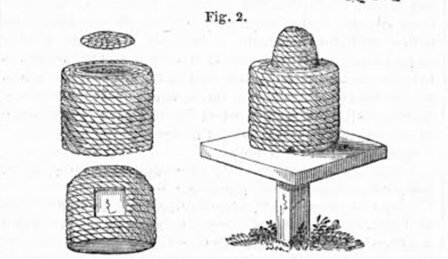 Honeybee History: 1841 - Comments on hive management, swarming, and ...