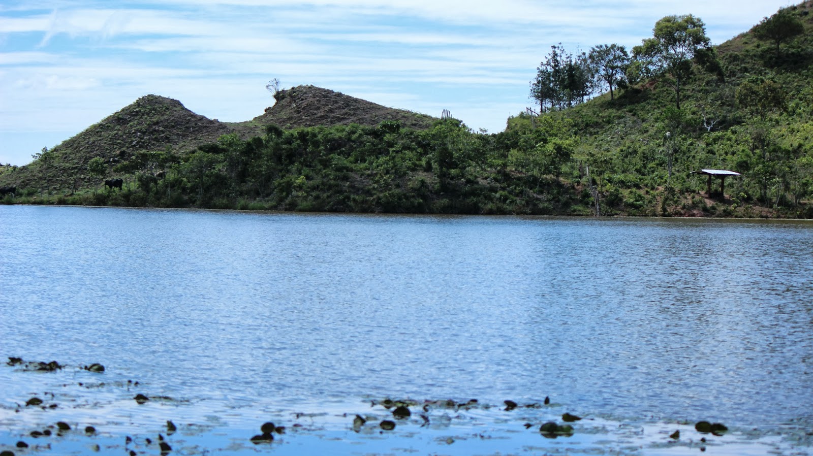 "JUVENTUD EN LA JUEGA": Baraya Huila "Capital del Eterno Retorno"
