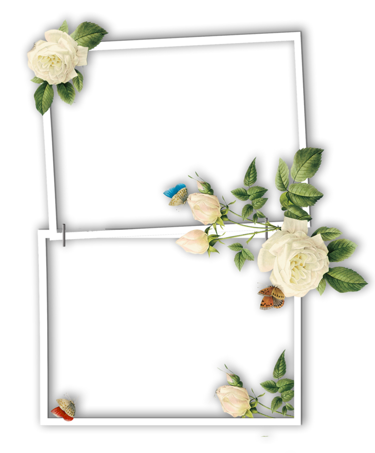 ForgetMeNot: Cluster frames