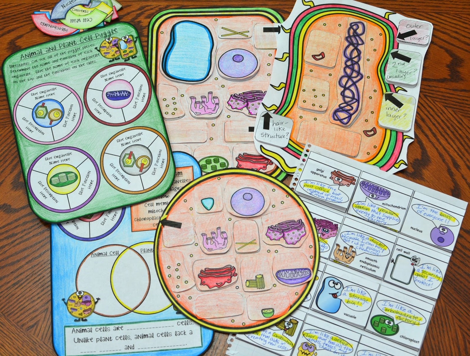 Math in Demand: Science Interactive Notebook - Cells