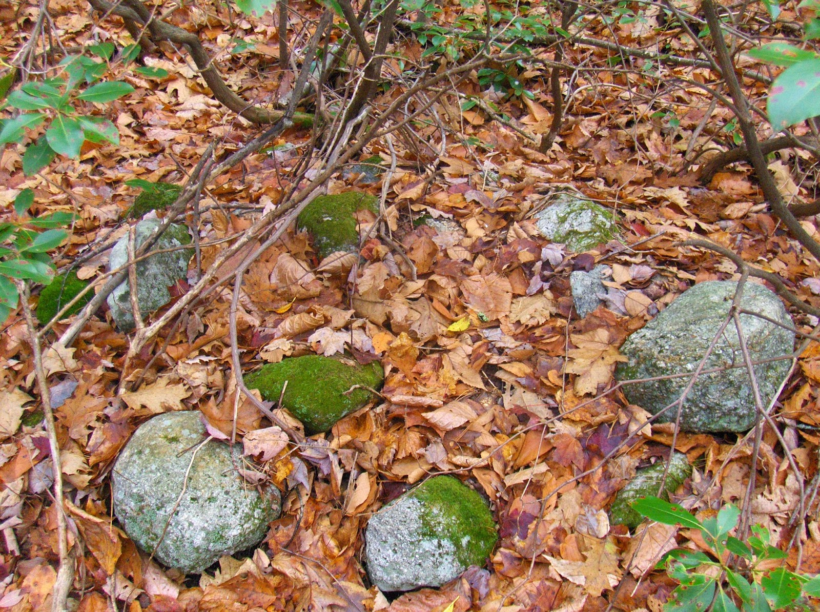 Rock Piles: Long stone mounds and small "snake effigy" high up in the ...