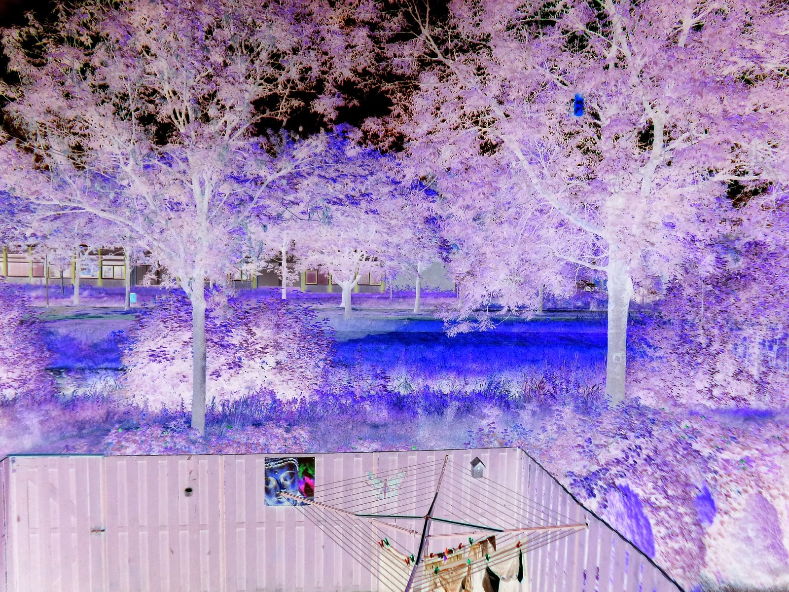 Zomerproject Illustratie: Kleur, Contrast & Vorm