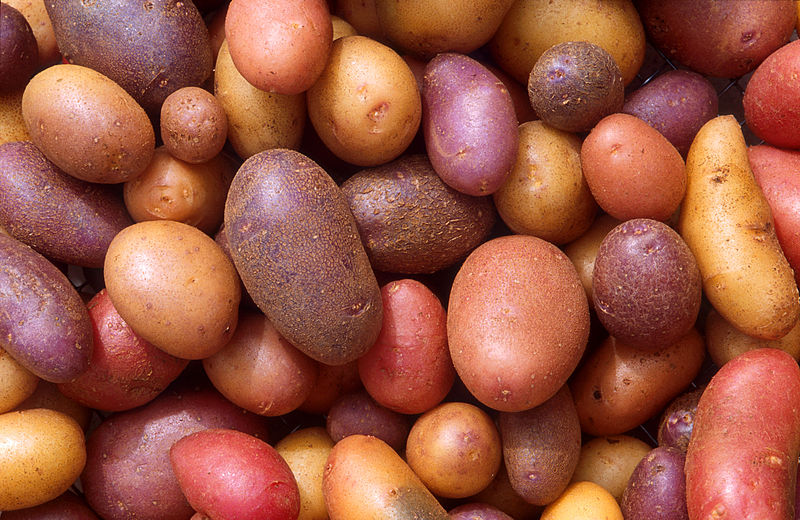 Roots 'n' Shoots: Potato: How To Grow - Vegetable of the Month