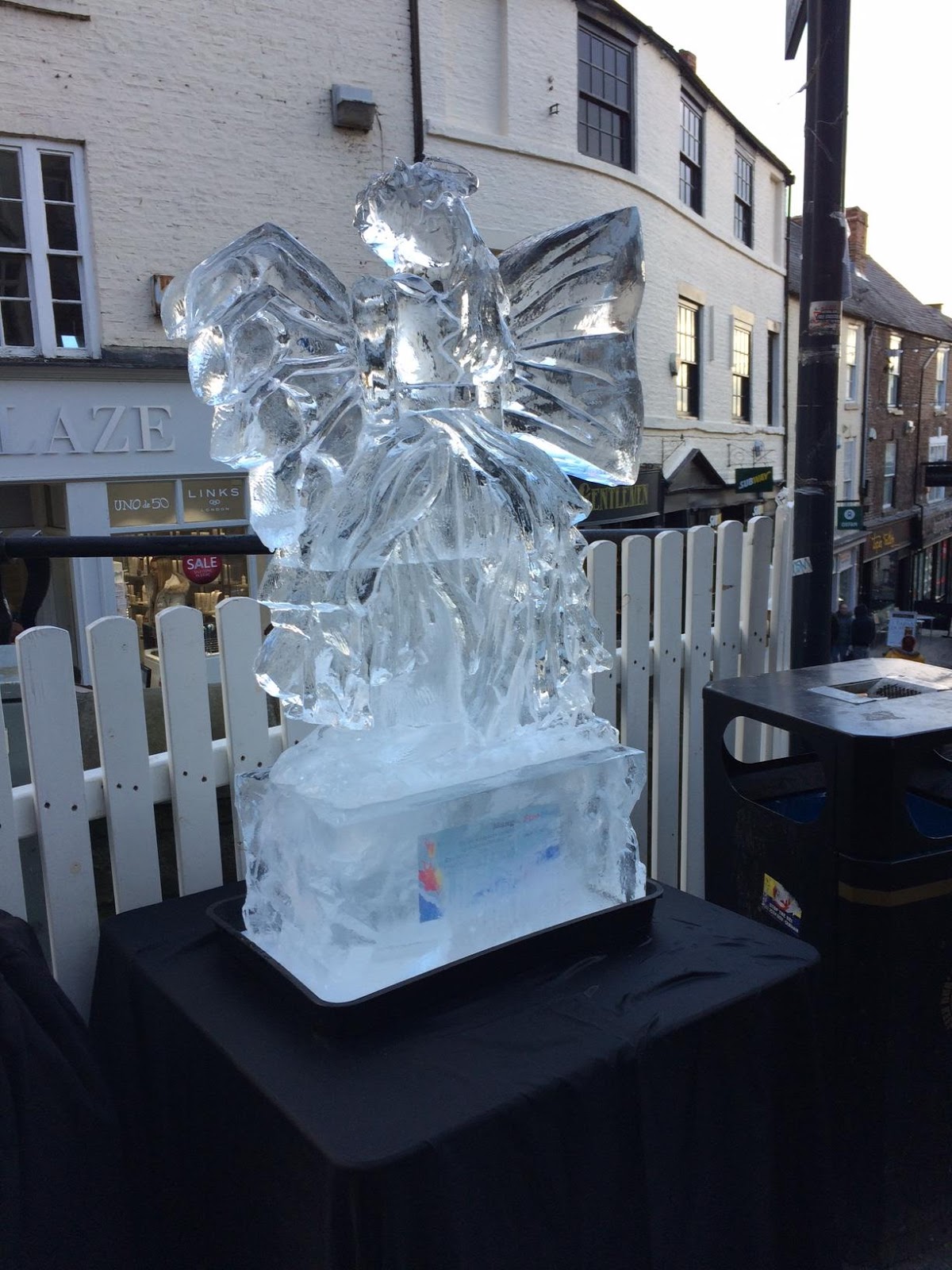 Muddy Brown's Blog: Fire and Ice Display in Durham