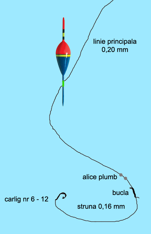 Pasiunea Pescuitului: Montura pentru Pescuitul Carasului la Undita.