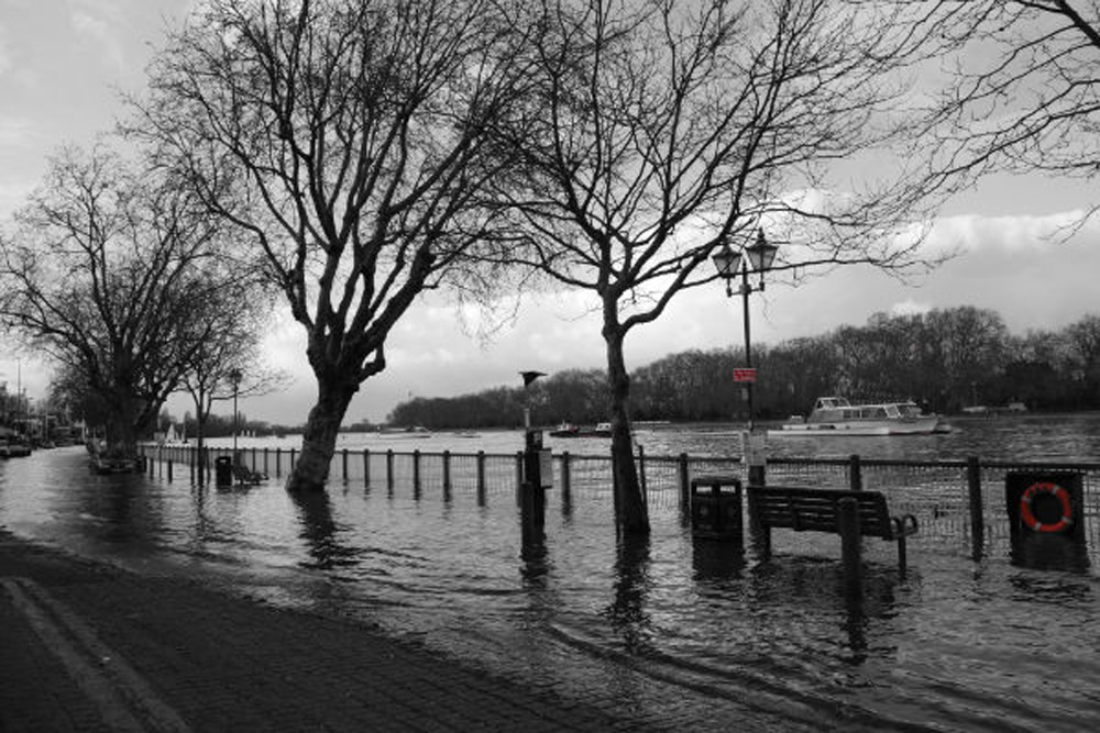 'Hear The Boat Sing': Hélène Rémond: In and Around Putney