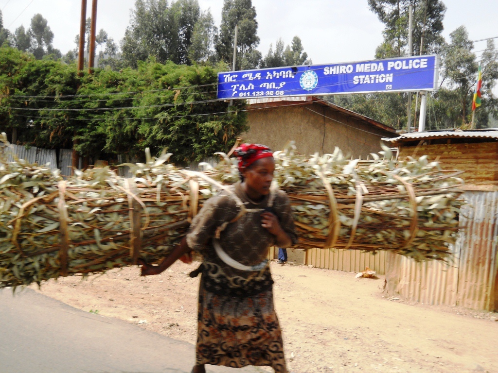 FRANCISCAN MISSION OUTREACH: St. Raguel Ethiopian Orthodox Church, Entoto