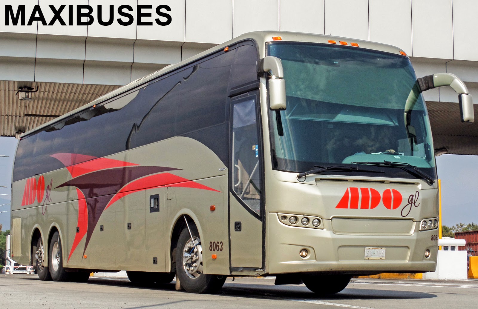MAXIBUSES: ADO GL