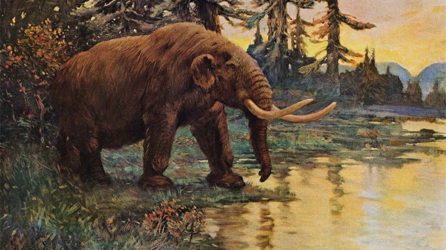 Flora Dan Fauna Dunia: Mastodon