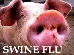 Symptoms and Precautions of Swine Flue (HINI Influenza) (2013 Attack)