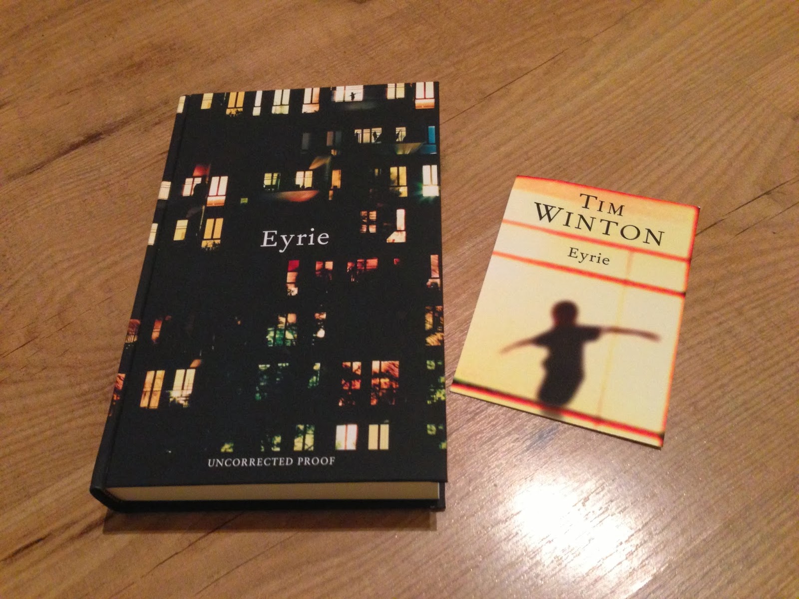 Brona's Books: Eyrie by Tim Winton