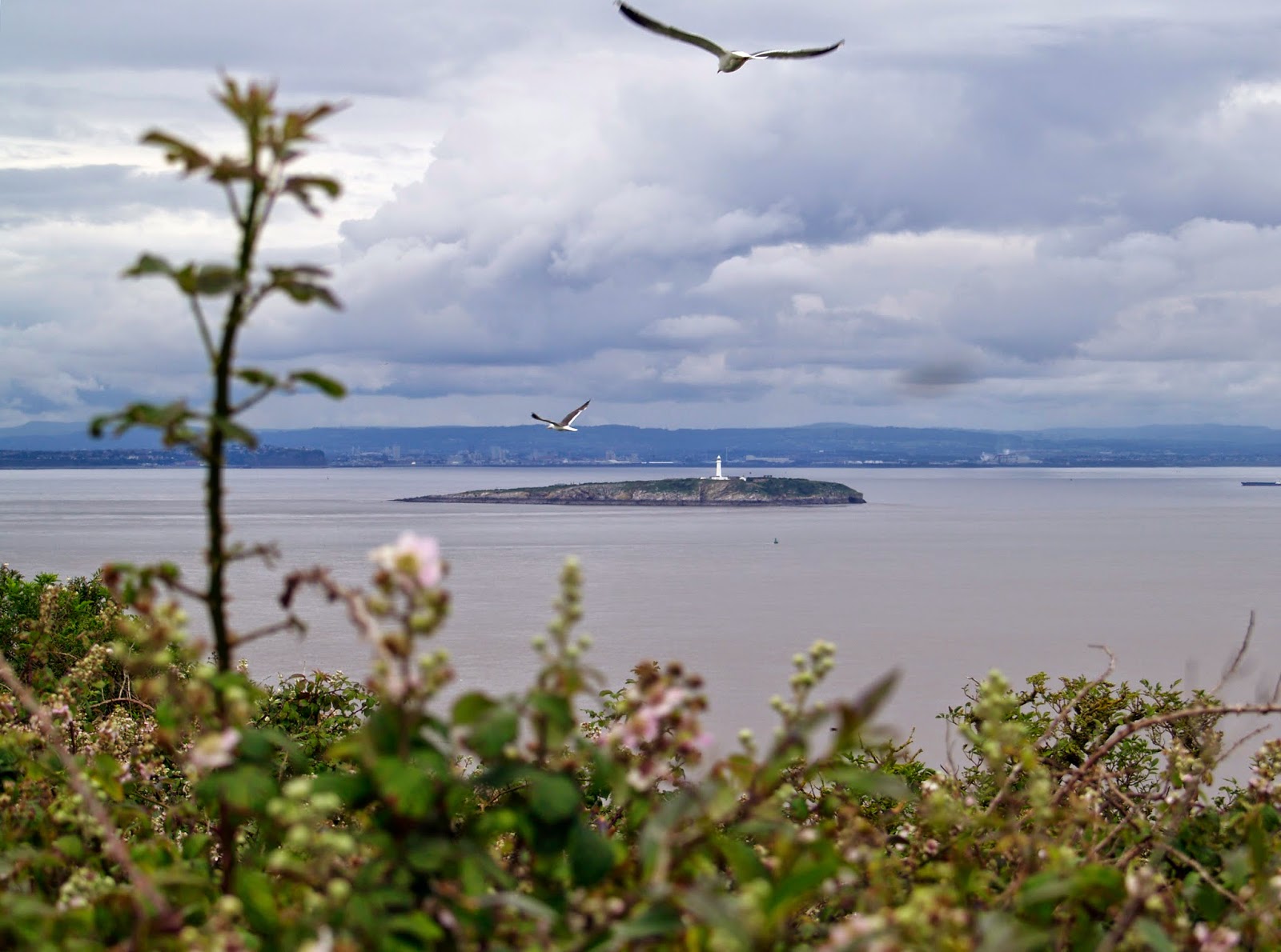 Stonehenge and the Ice Age: Is Flat Holm a roche moutonnee?