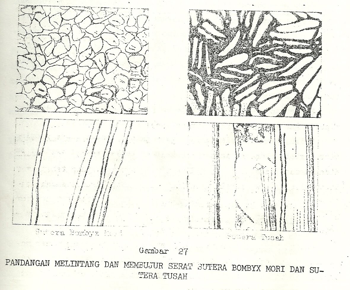 Serat Sutera | Pengetahuan Nira