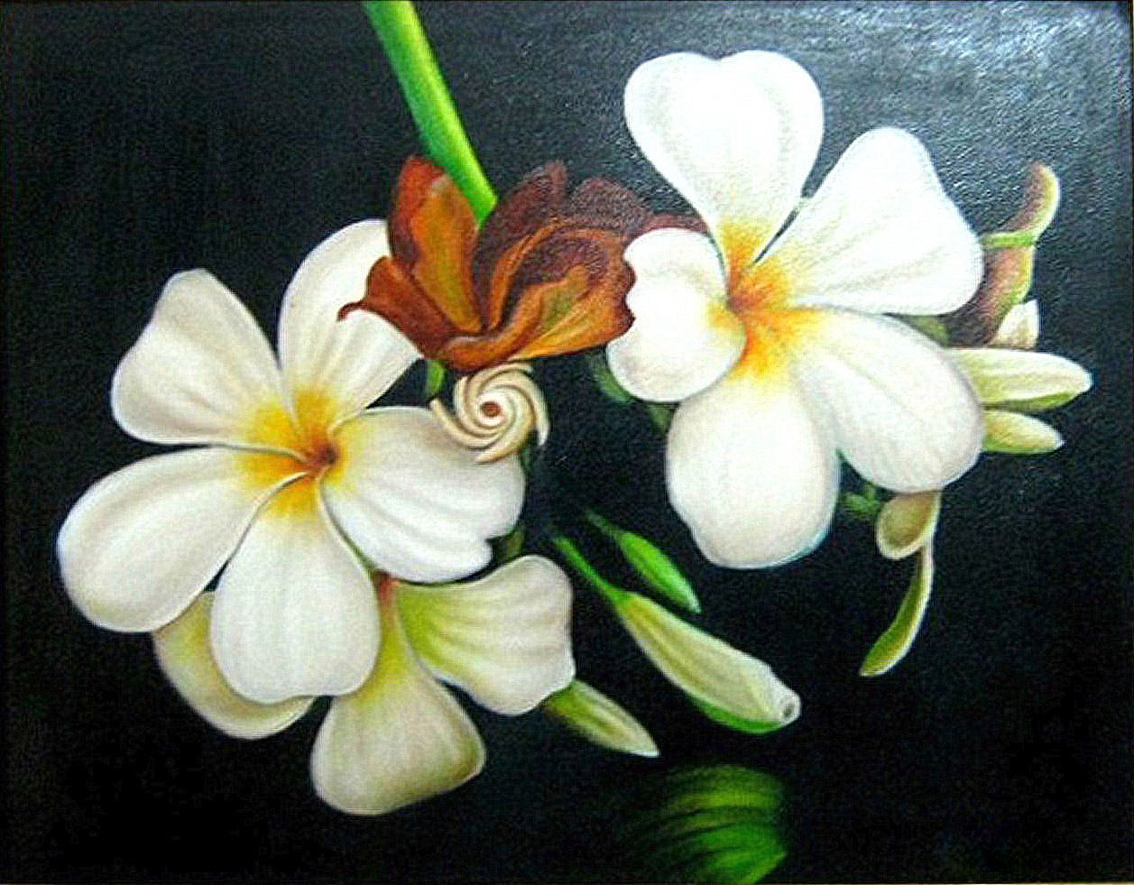 >> LUKISAN BUNGA -01 ~ Galeri Online khusus Lukisan Berkelas