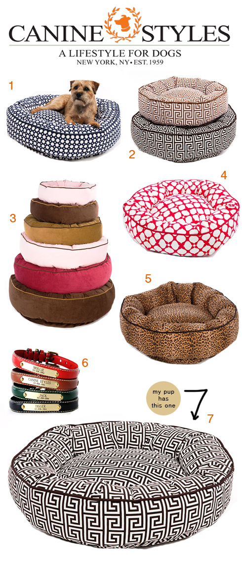 Canine Styles in NYC - Made By Girl