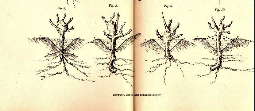 ArtPlastoc: 810-CLAUDIUS COUTON, PHOTOGRAPHE (1837-1929)