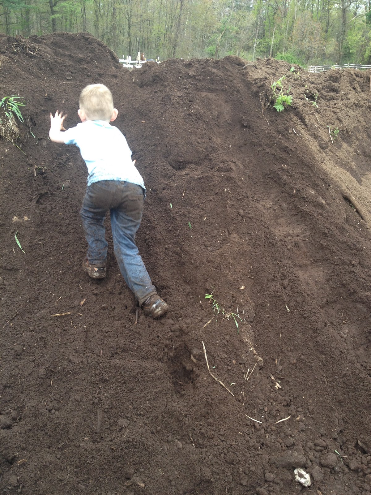 Writers Dojo: The Creative Process Step One: Marble, Wood, or Manure