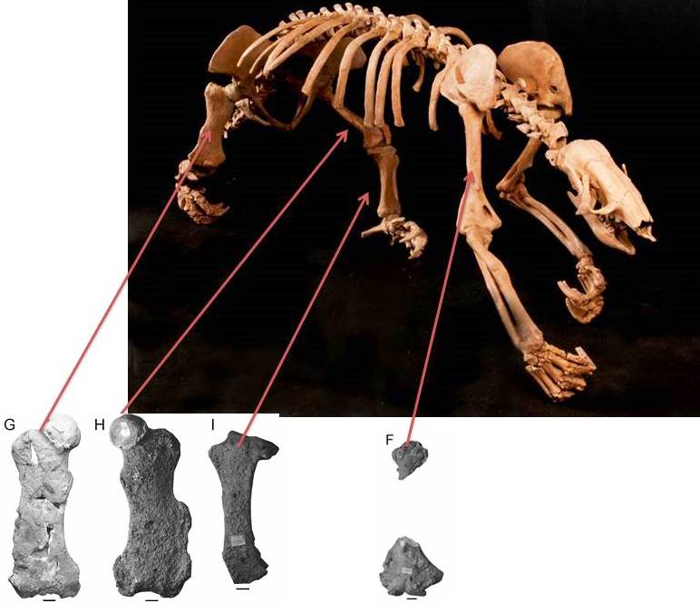 SEA - SOCIEDADE ESPELEOLÓGICA AZIMUTE: junho 2017