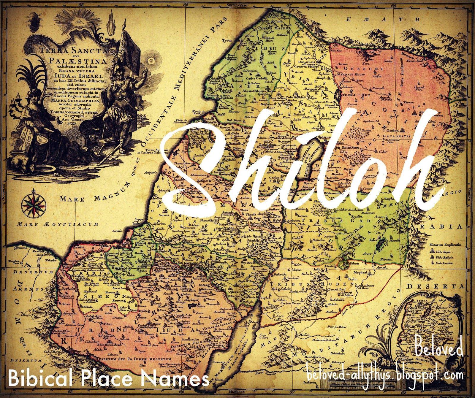 EXAMS AND ME : Shiloh