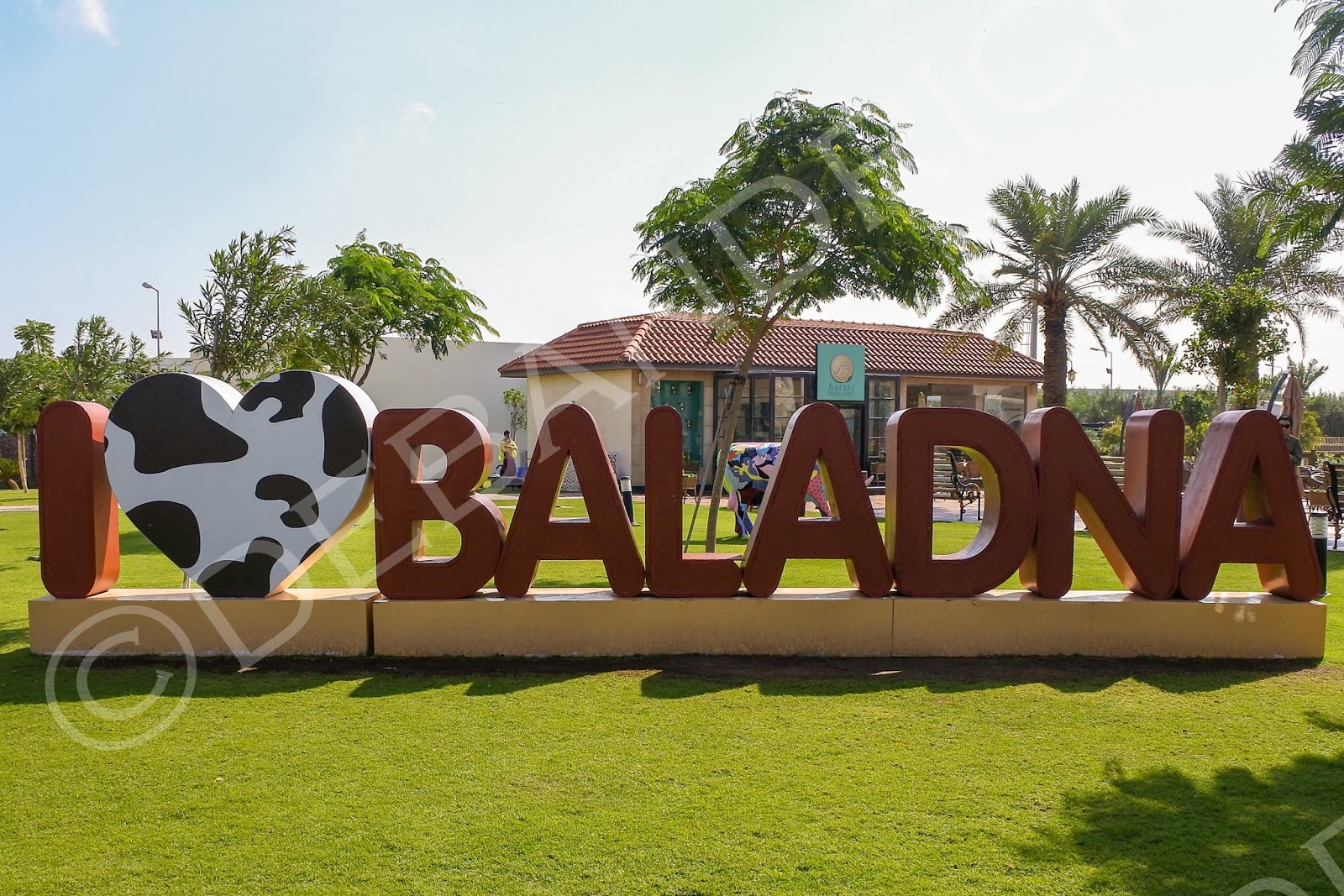 Next Stop.....the World!: Baladna Farms