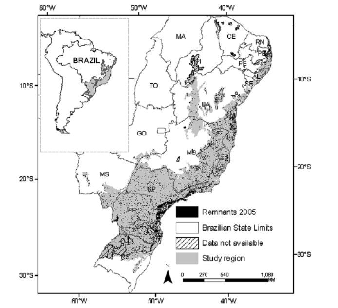 The Atlantic Forest in Brazil : HISTORY