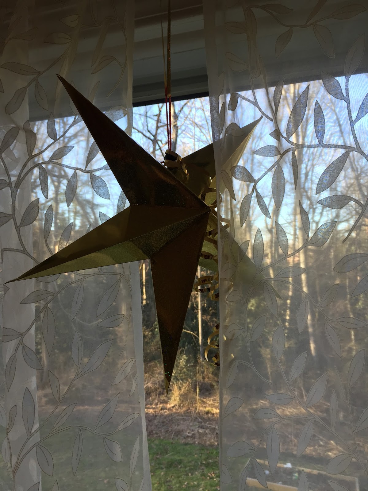 Where Lilli Blooms: Turning Twelve