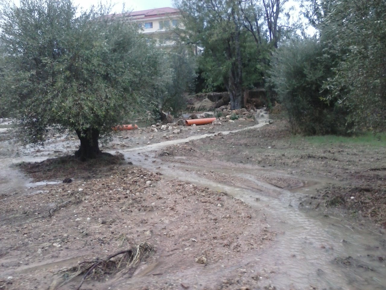 VOUTOSPRESS.GR: 2η μερα απο της Καταστροφες στην Κεφαλονια και ας ...