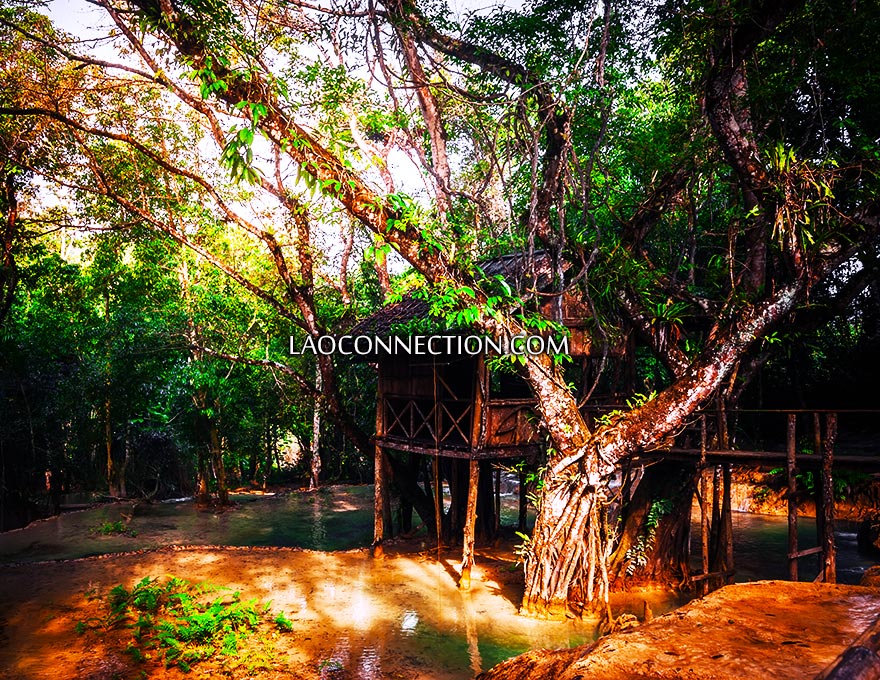 Laoconnection.com: A treehouse in the water