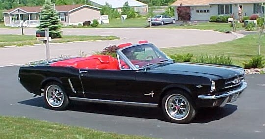 Virginia Classic Mustang Blog: Check out this Mustang Collection from ...