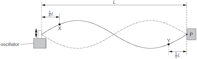 A uniform string is held between a fixed point P and a variable ...