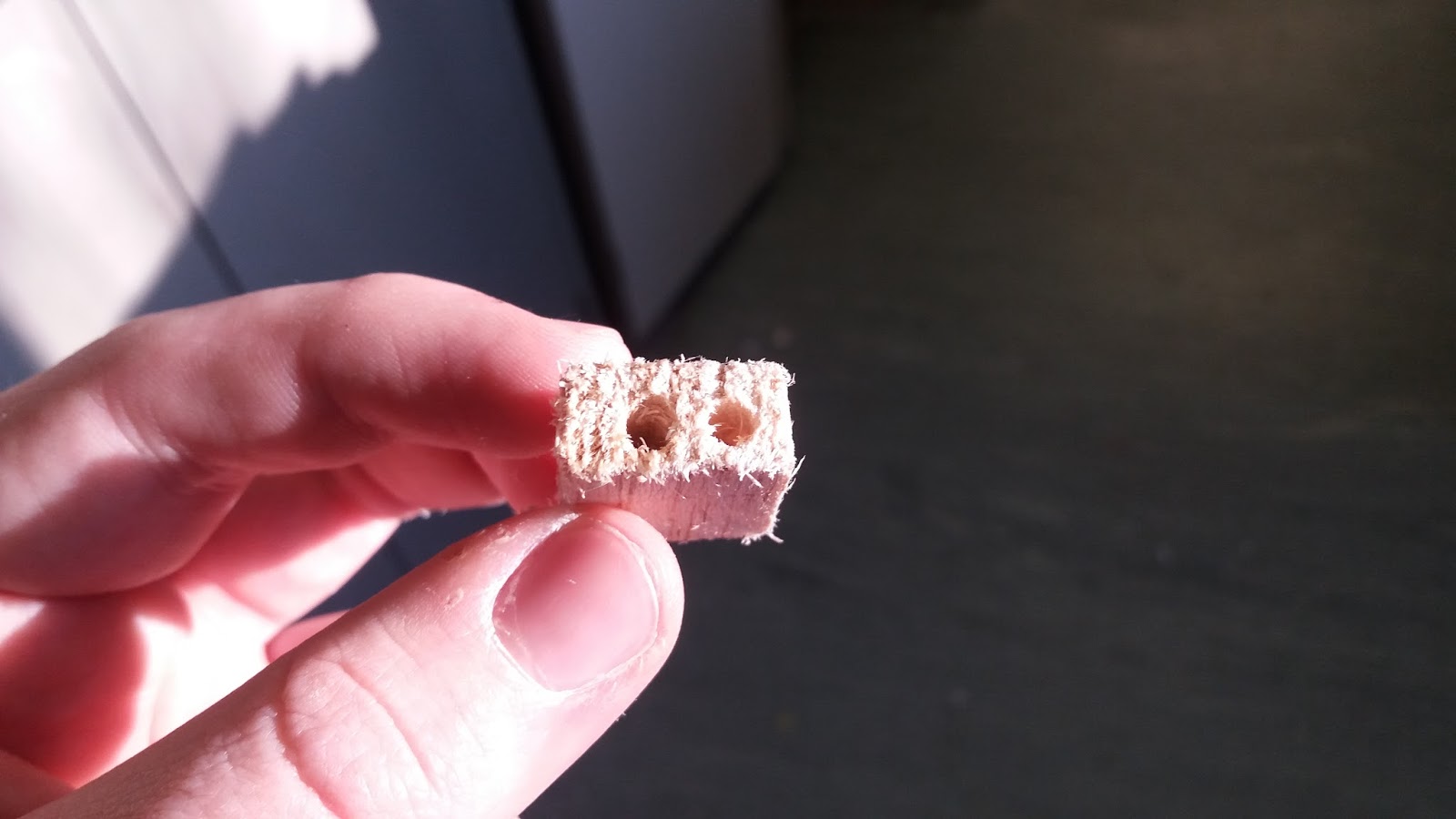 Tyler Carrigan Animation