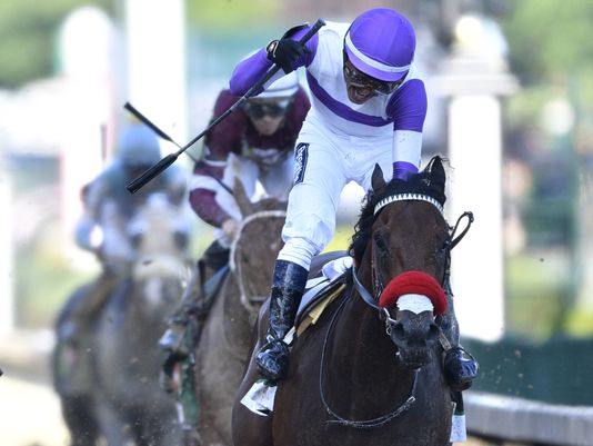 Northern Dancer Blog