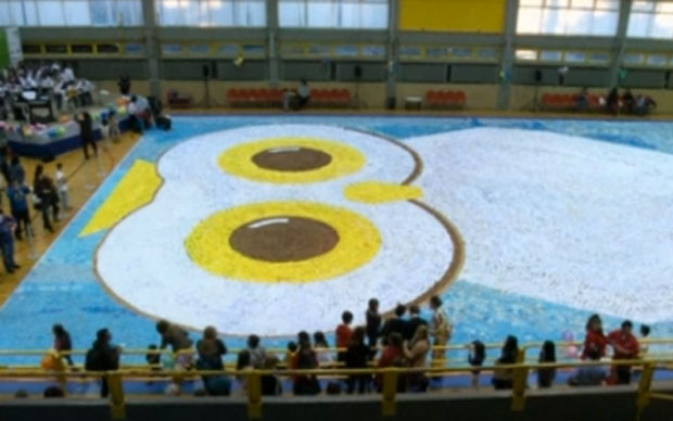 Art & Craft: Origami World Records