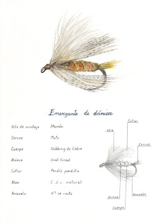 Artificial flies for fishing drawings and paintings: EPHEMEROPTERA