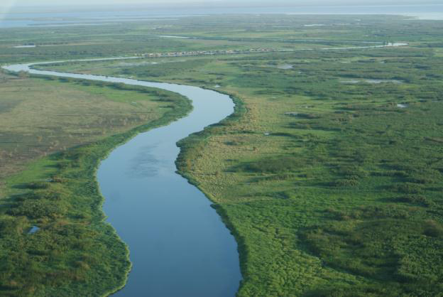 The Zambian Analyst Investigations Into Kafue River Pollution Completed the-zambian-analyst-investigations-into-kafue-river-pollution-completed