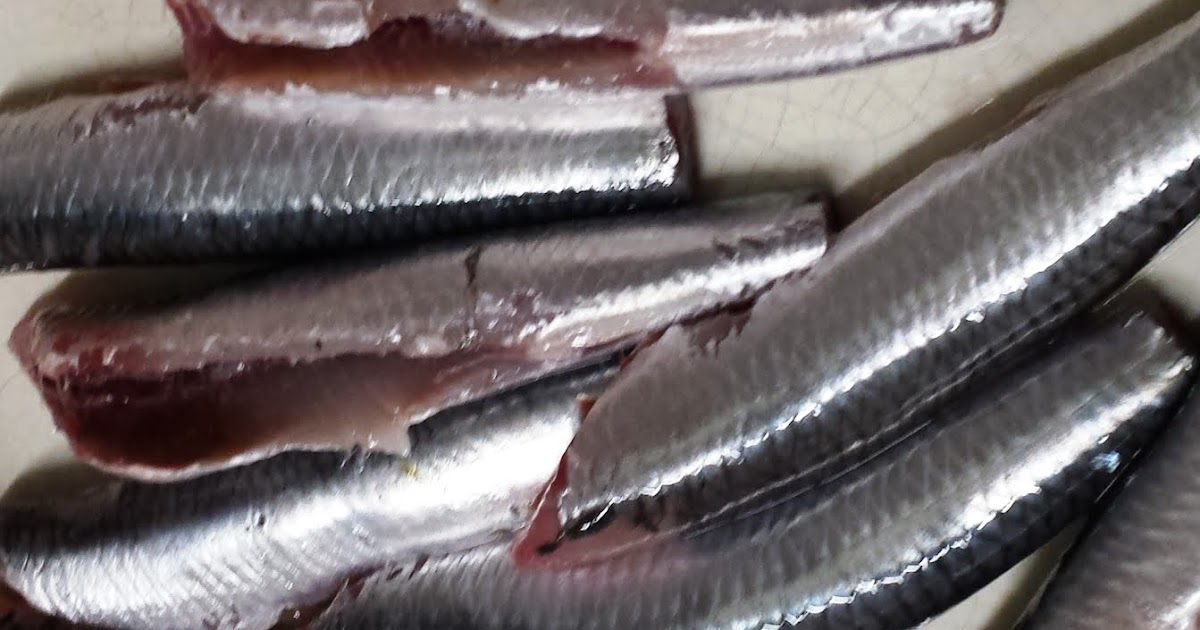 El rincón de Mundín: BOQUERONES-BOCARTES EN VINAGRE