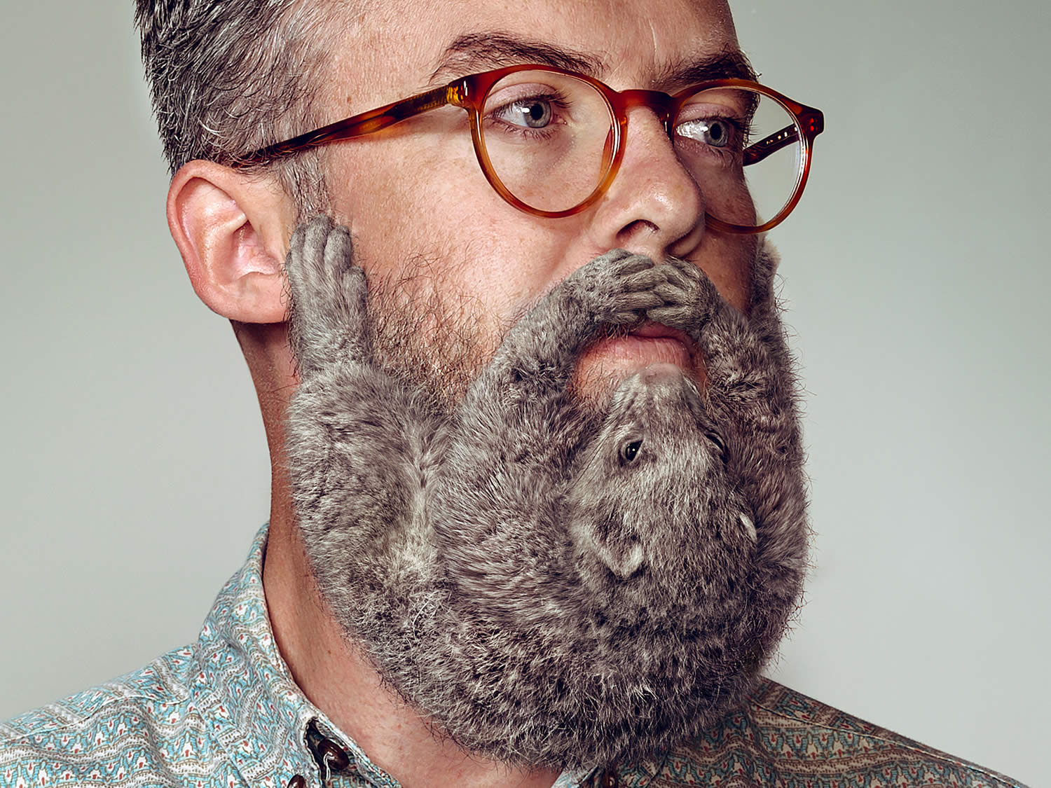 KSHOW: Creative Beards