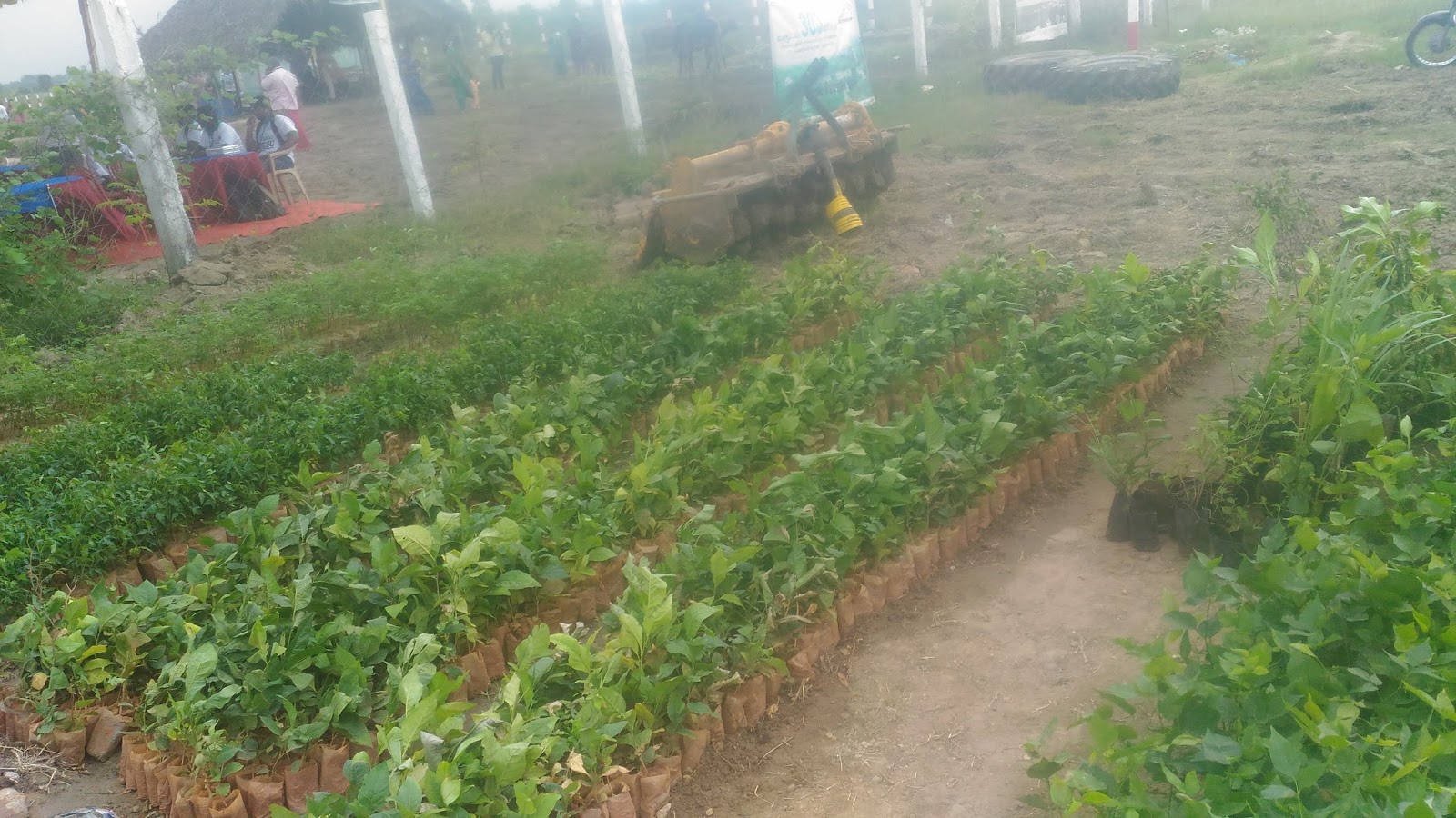 Indira Agrotech - A Farm Visit ~ Kurinji Kathambam