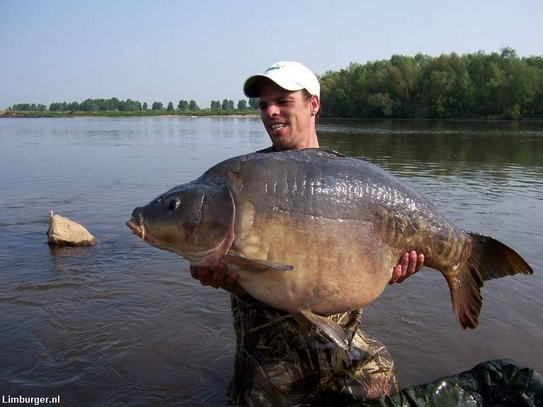 Nederlandse karper van 26 kg in Maas