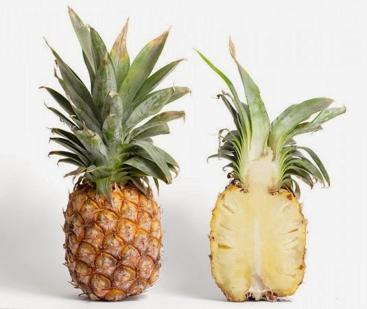 DIÁRIO COM A NATUREZA: 25 DE MAIO - ABACAXI - ANANÁS - INFRUTESCÊNCIA ...