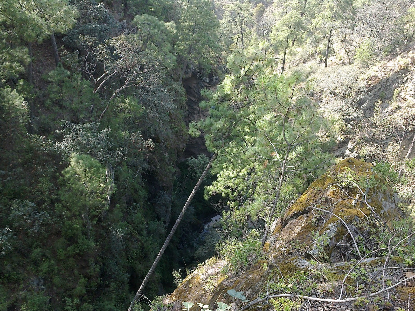 Aventuras en Perote: --- CAÑÓN DE ATETA