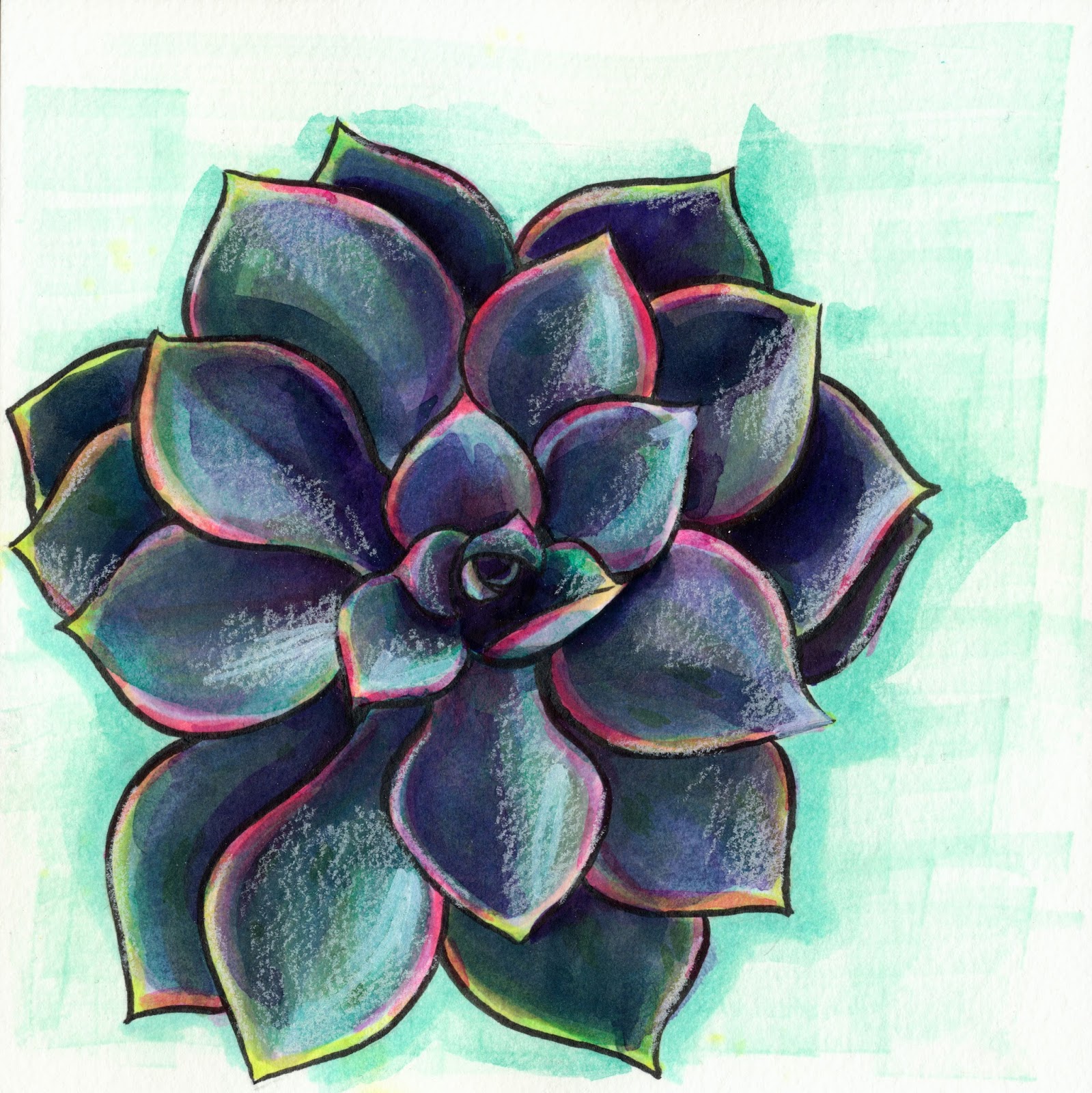 Using Marker with Watercolor- Succulent Studies