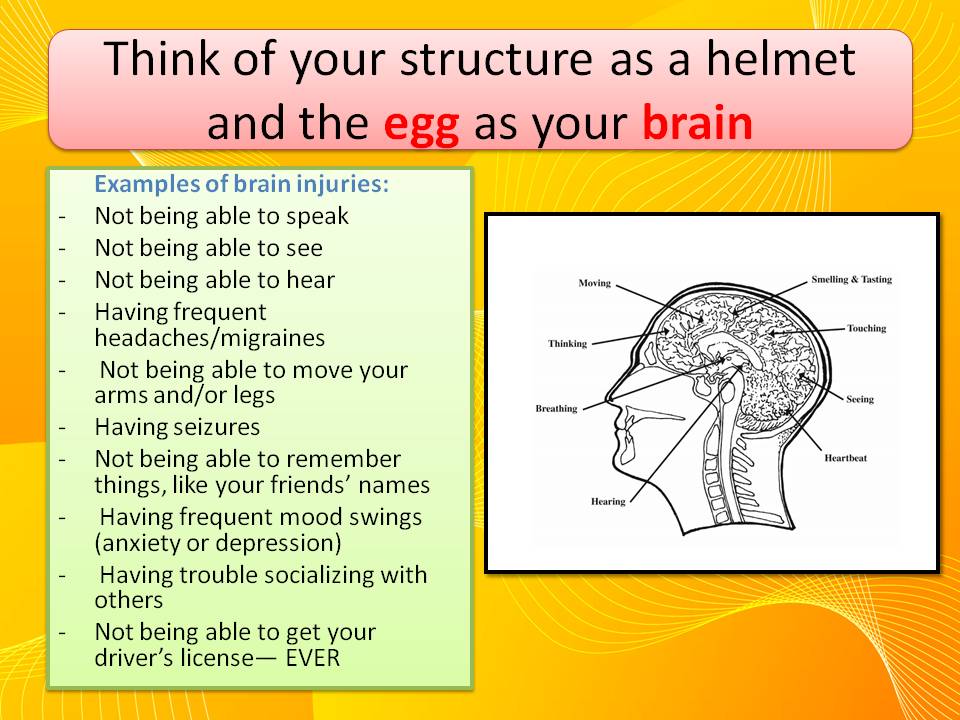 Ms Rashid: The Great Egg Drop Science Project