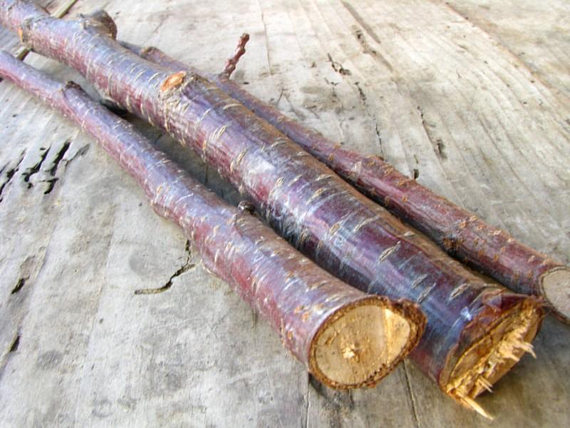 rabotilnica na harmonijata: wild cherry natural tree branches, cherry ...