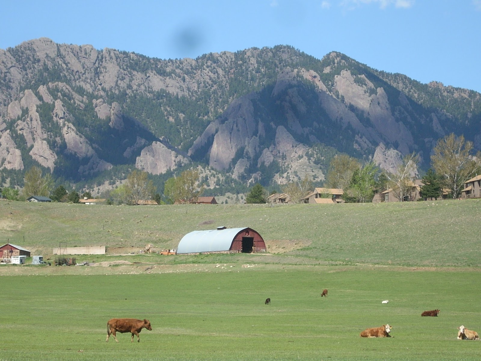 Explore Colorado: Boulder Foothills ~ After Spring Rains
