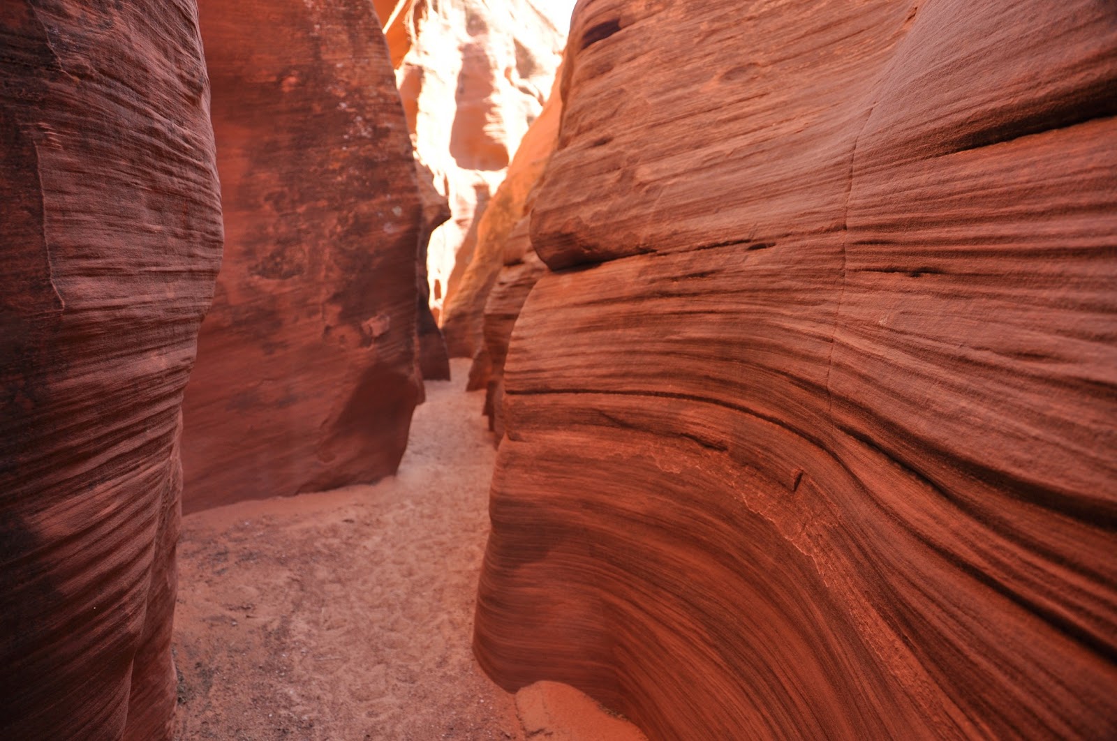 Travels with rarecat: Slot Canyon #5 - Mountain Sheep Canyon