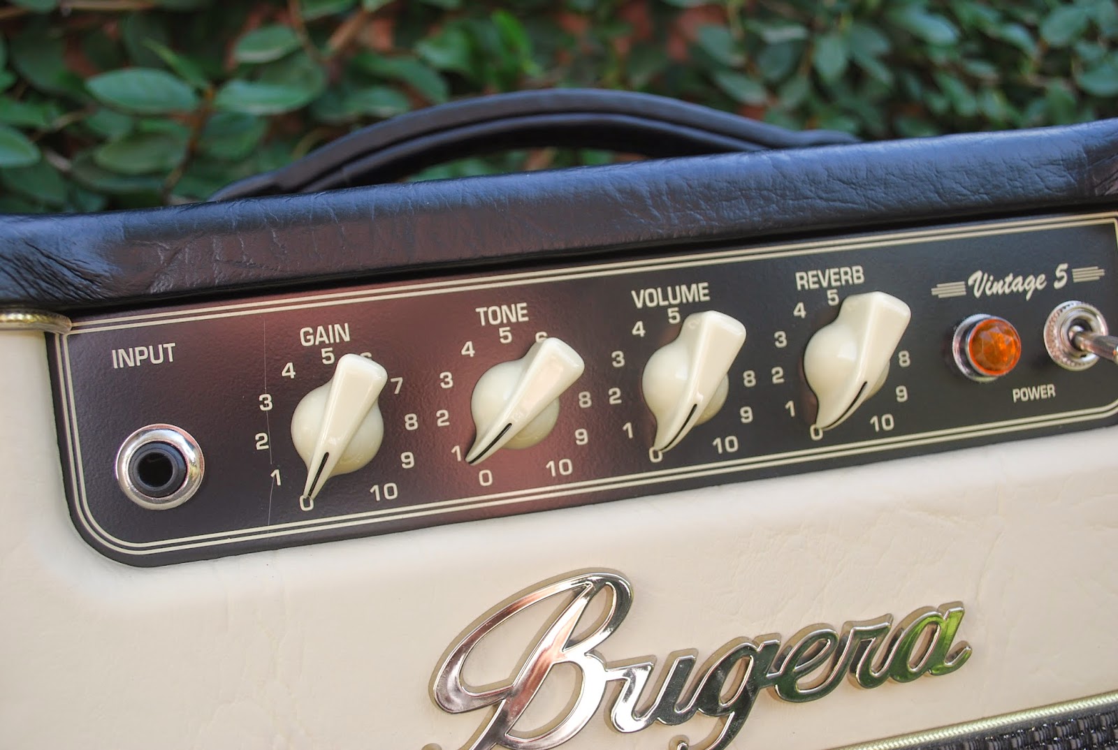 Rex and the Bass: Bugera V5 5-watt Class A Amplifier Review