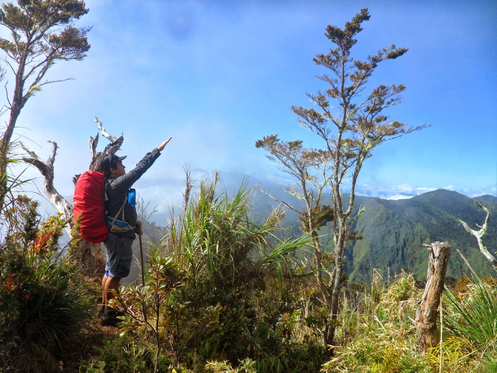 A day in the Hike: Kitanglad to Dulang Dulang Traverse