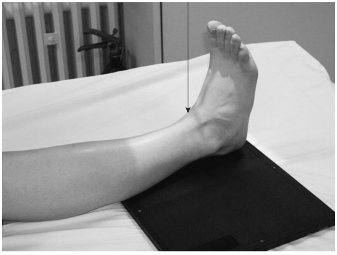 Clark's Radiography: Projection Terminology