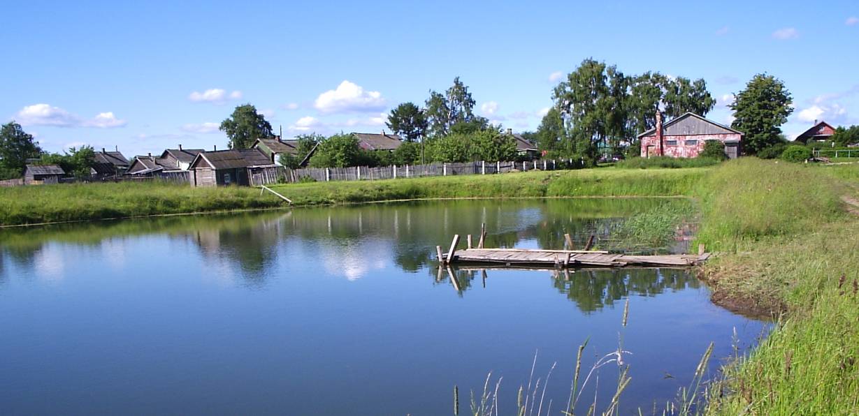 Los estanques: concepto y clasificación - Biología